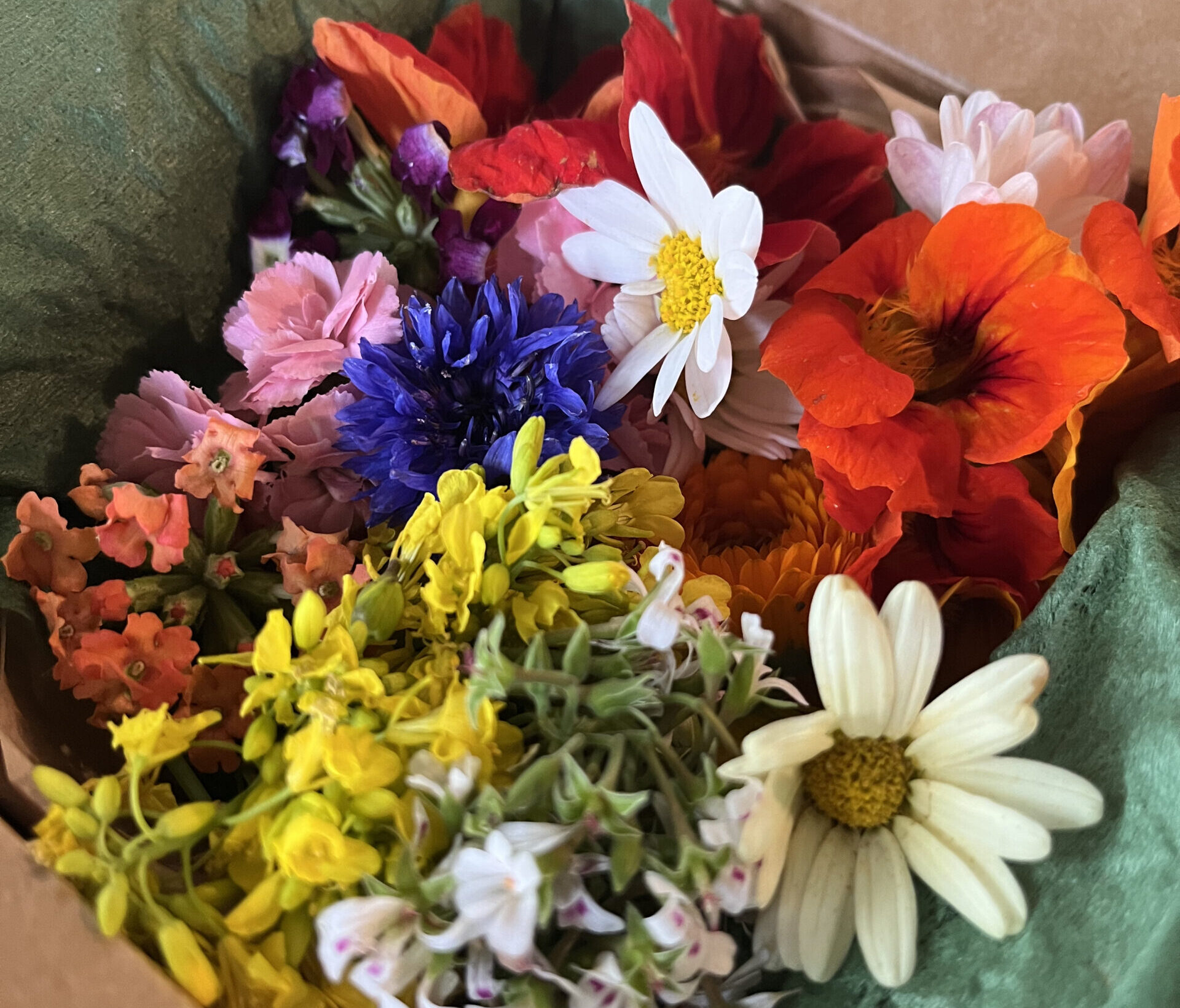 Naeme Farmers StandがOpen | Co•En Corporation